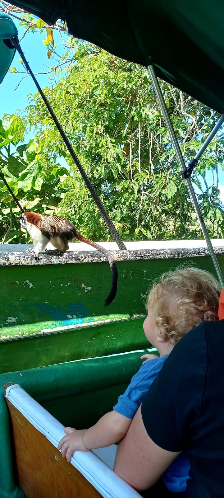 Monkey Tour and Panama Canal Tourist Center Tour - Panama Kosher Vacations